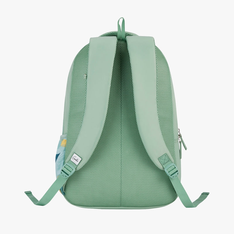 Buy Genie Sage 36L Ash Green School Backpack online