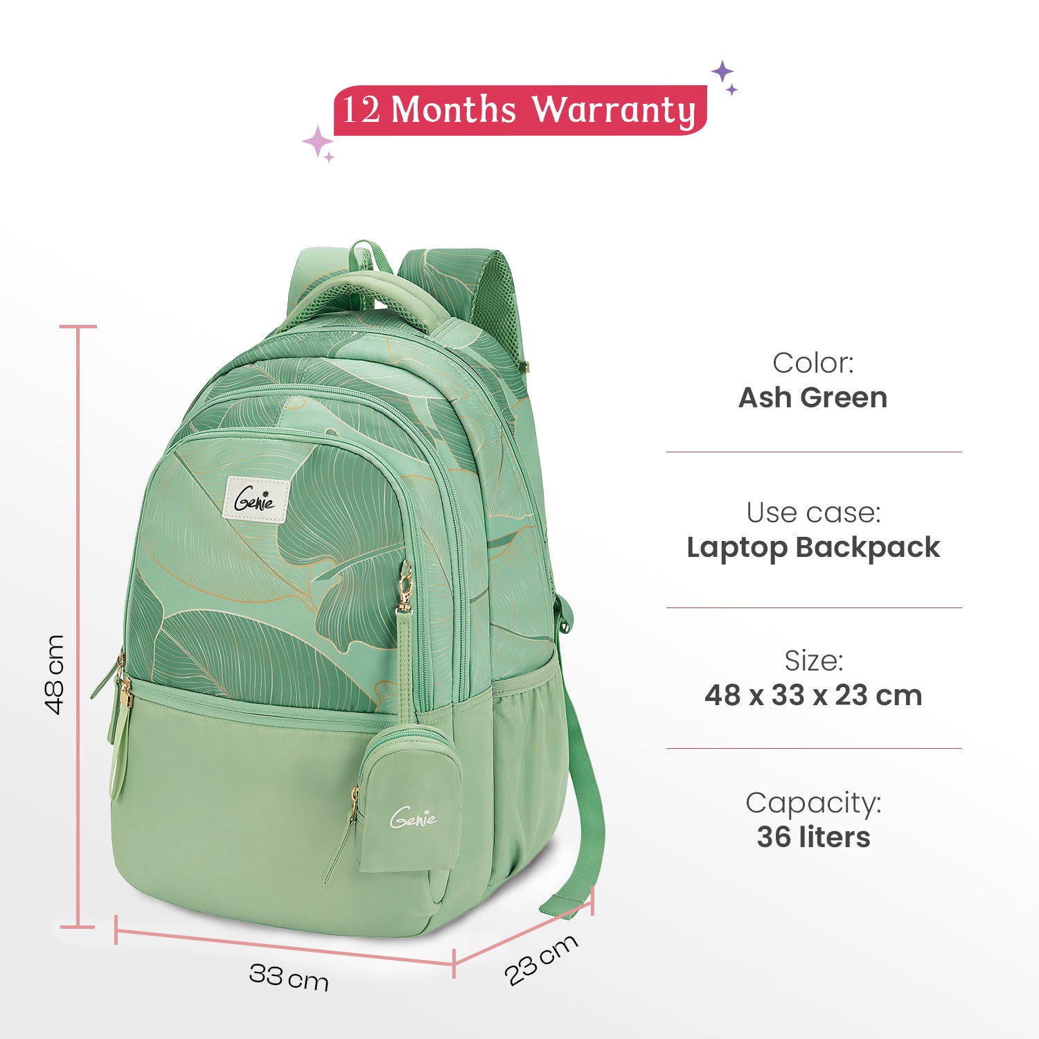 Buy Genie Stardust 36L Ash Green Laptop Backpack Online